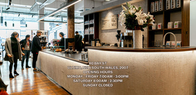 Stitch Coffee QVB & Broadway